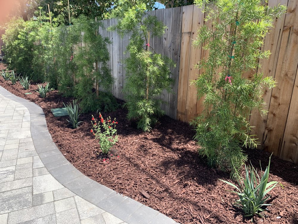 Landscaping San Jose CA | Landscape Design Services